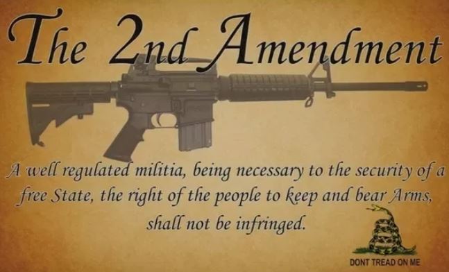 Limits on Gun Ownership May Result in Tyranny (From Gun Control, P 123 ...